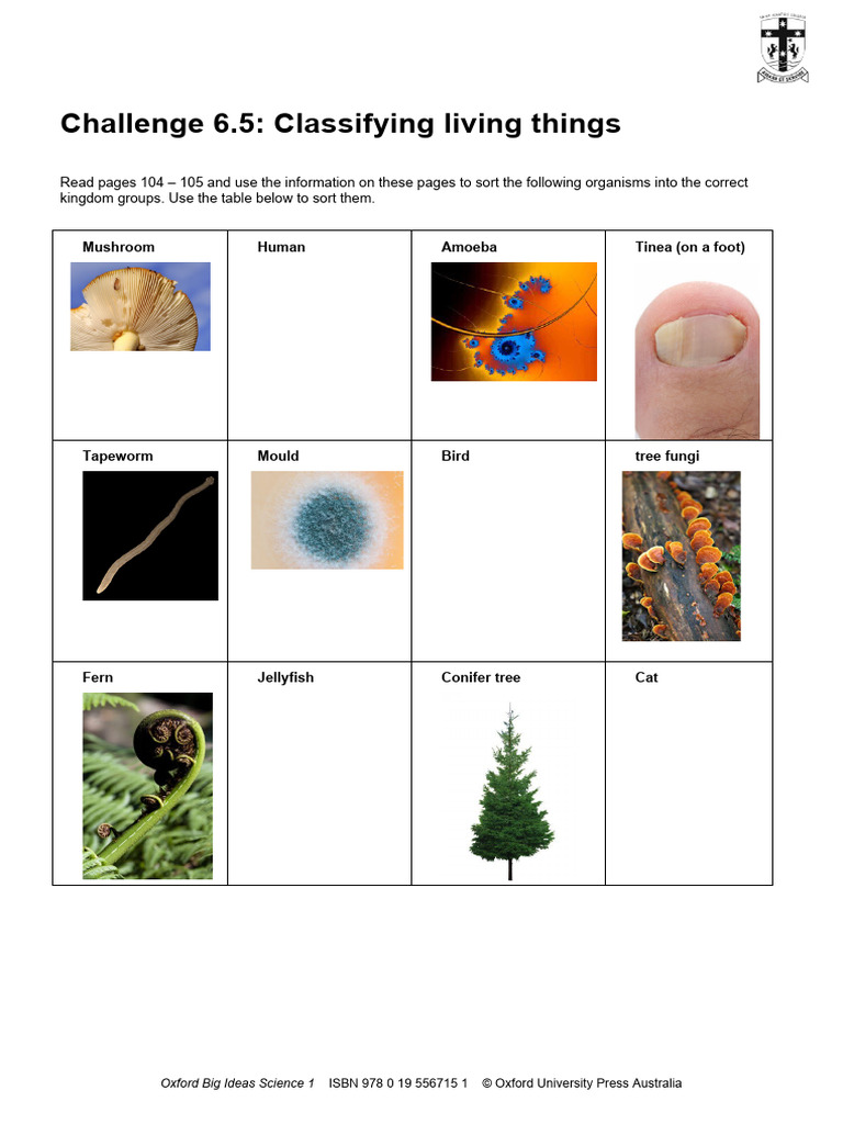 Student's Guide to Classifying Life | PDF