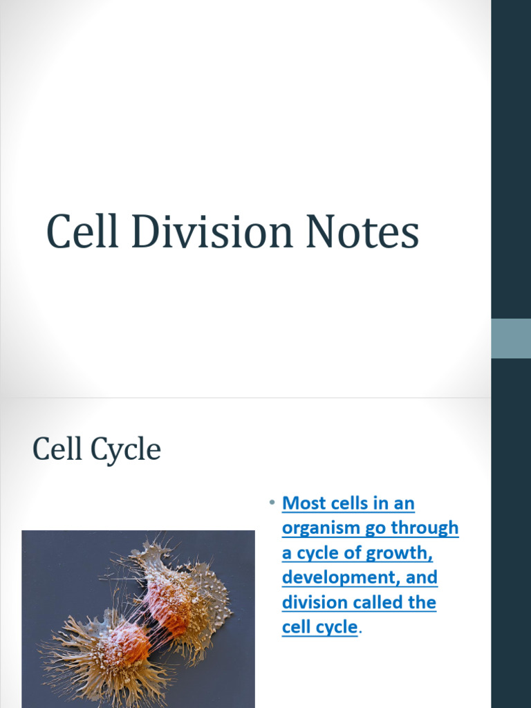 Cell Division Notes | PDF | Mitosis | Genetics