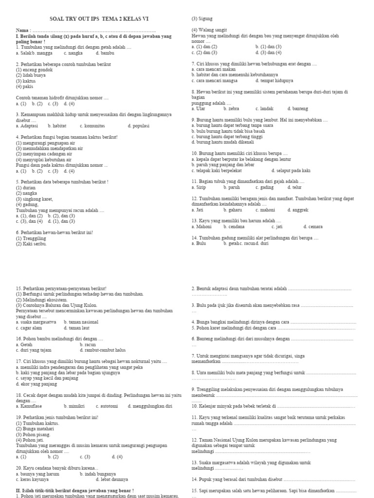 Soal Try Out Ips Tema 2 Kelas Vi | PDF | Griya & Taman