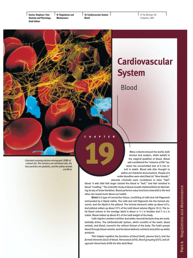 19 Cardiovascular System Blood | PDF | Hemoglobin | Blood