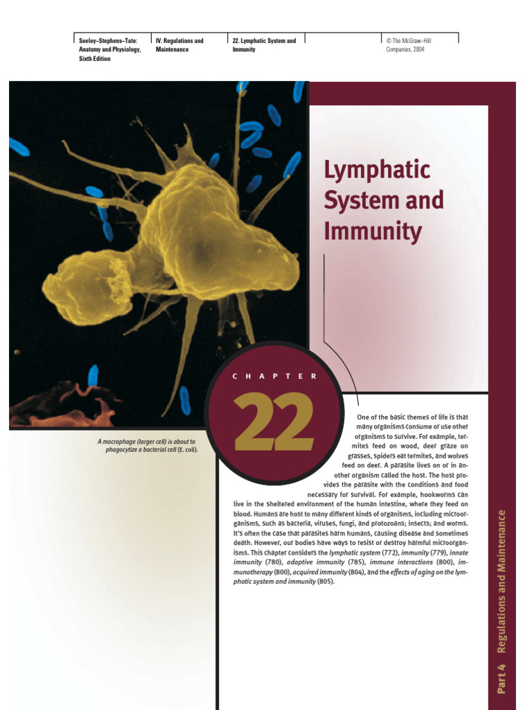 22 Lymphatic System and Immunity | Download Free PDF | Lymphatic System ...