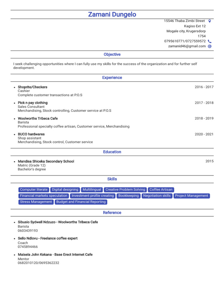 Zamani Dungelo CV | PDF | Business | Economies