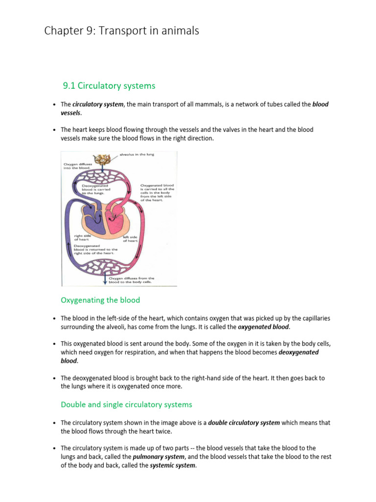 Chapter 9 Transport in Animals | PDF