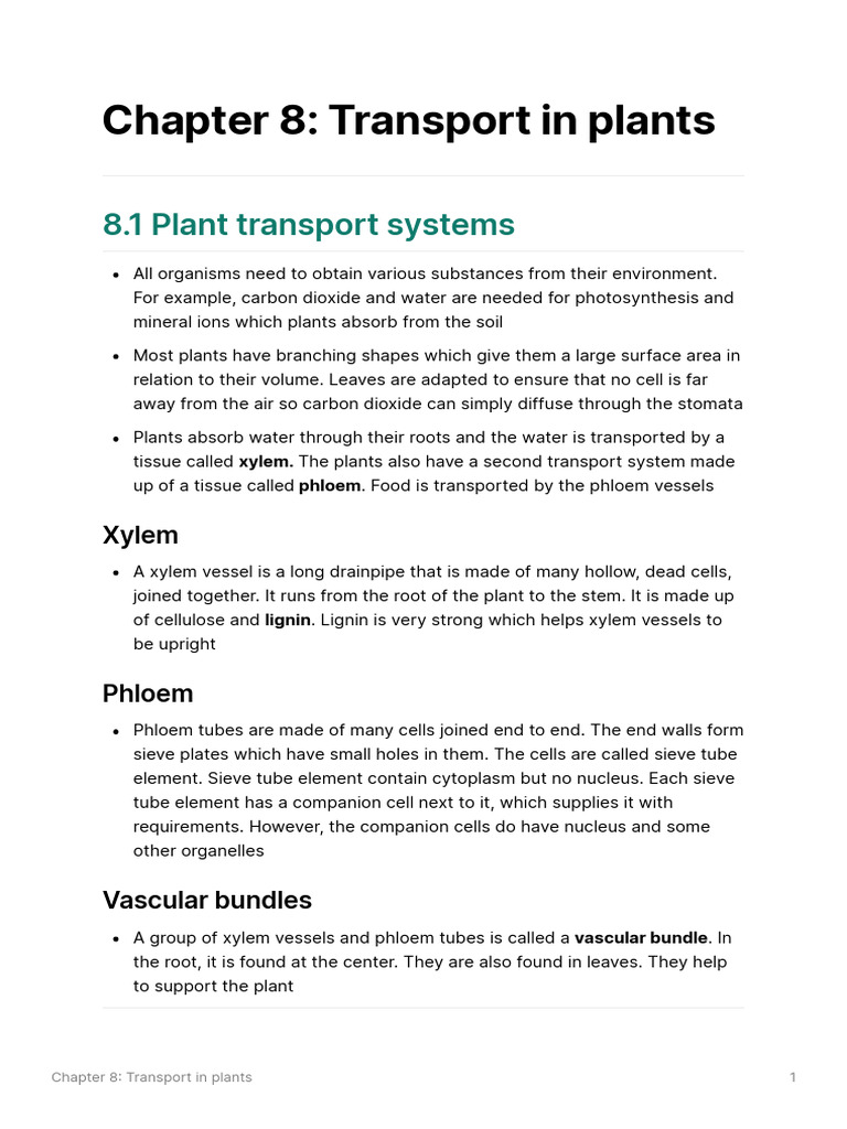 Chapter 8 Transport in Plants | PDF | Leaf | Plants