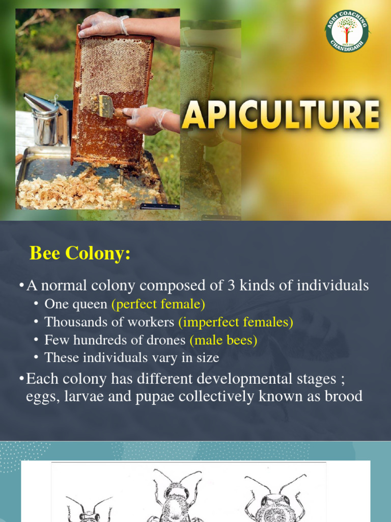5 - Apiculture Silviculture Lac Culture | PDF | Silk | Honey Bee