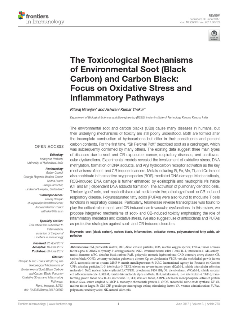 High IgE Levels and Soot Toxicity | PDF | Reactive Oxygen Species ...