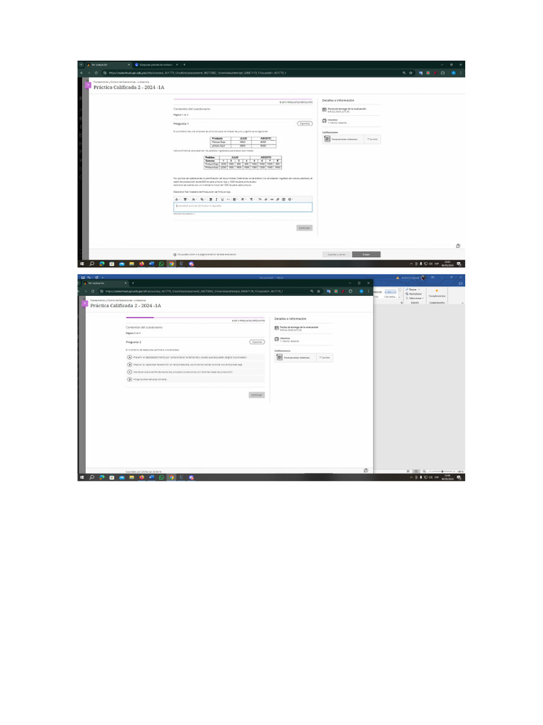 PC2 Pco 2024-1 | PDF