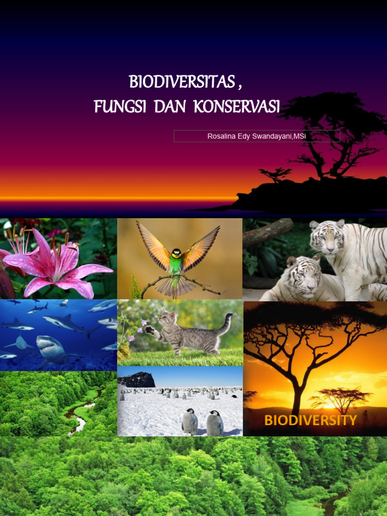 Biodiversitas, Fungsi Dan Konservasi | PDF | Sains & Matematika | Teknologi & Rekayasa