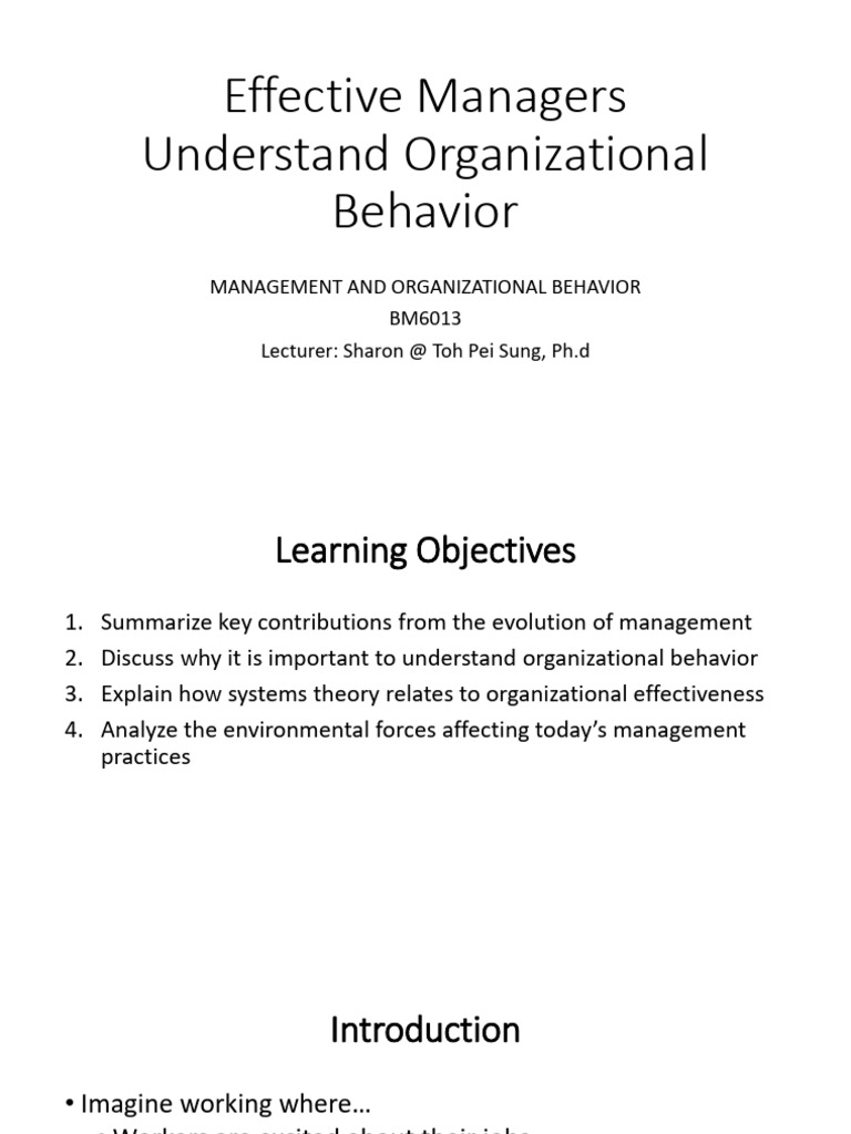 Chapter 1 - Effective Managers Understand Organizational Behavior | PDF | Organizational ...