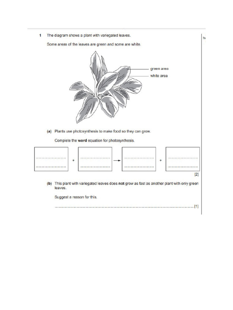 SCIENCEEXAMTERM1REVISION | PDF