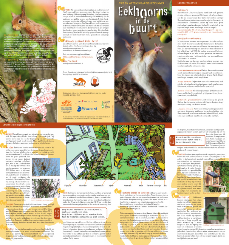 Eekhoorn Flyer Medium Def | PDF