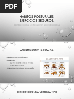Ejercicios de Rotación de Tronco | PDF | La columna vertebral | Sistema ...