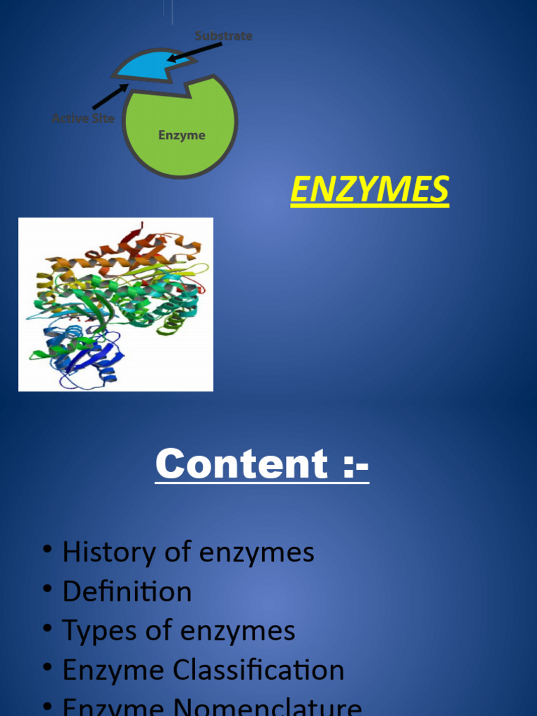 Enzymes | PDF | Enzyme | Biomolecules