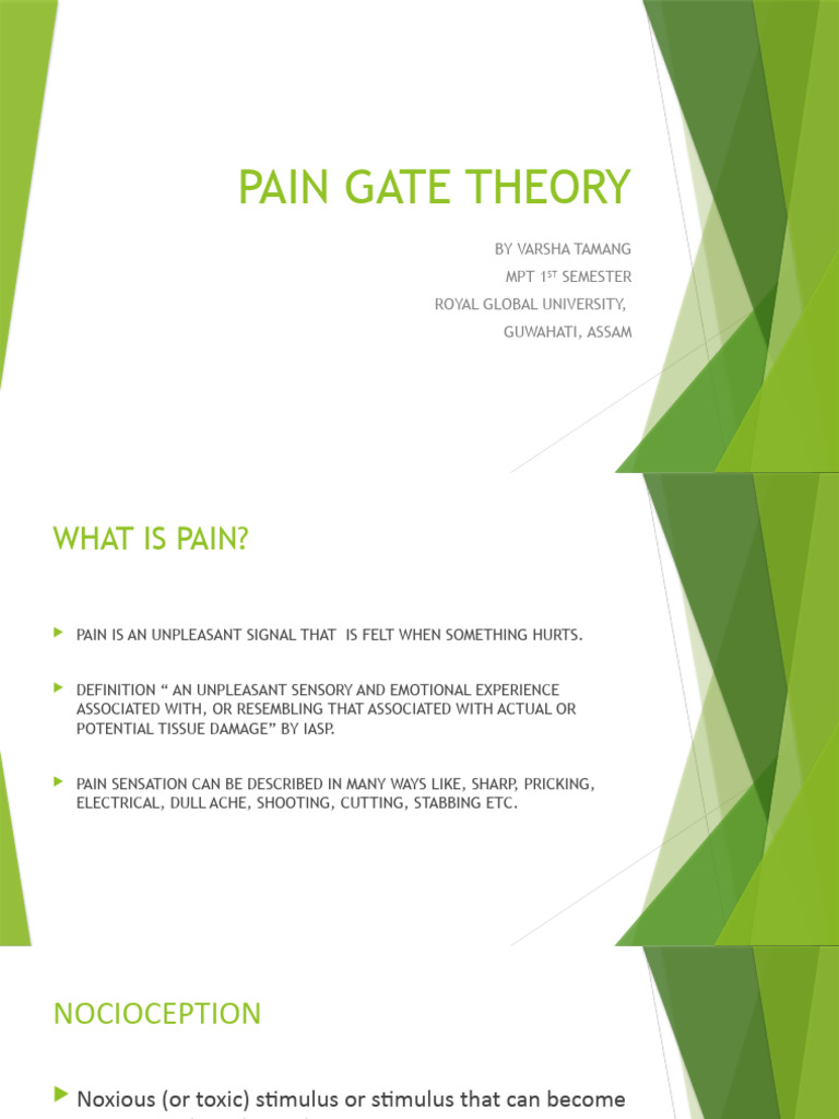 Pain Gate Theory | PDF | Pain | Nervous System
