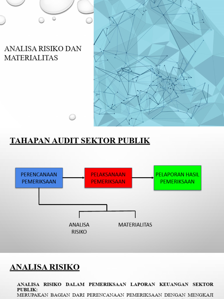 Risk Materiality | PDF