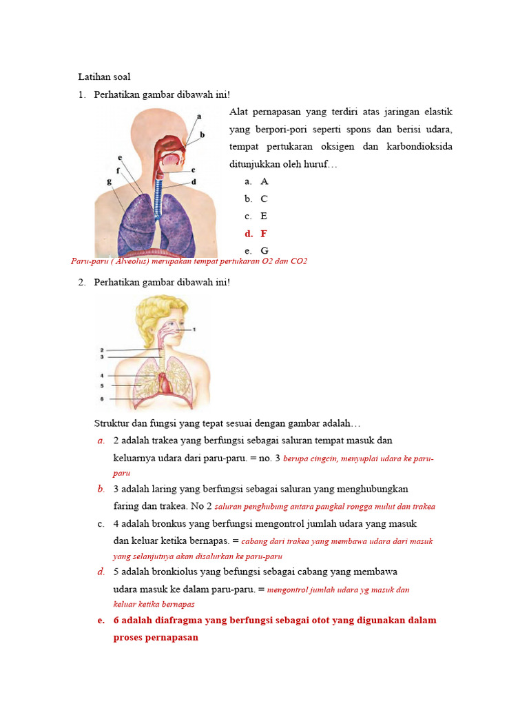 Latihan Soal BIOLOGI XI Semester Genap | PDF | Kajian Bahasa Asing | Kesehatan Holistik