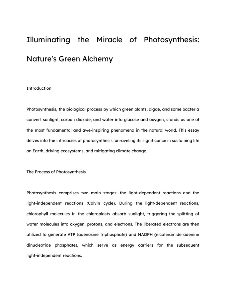 Illuminating The Miracle of Photosynthesis - Nature's Green Alchemy ...