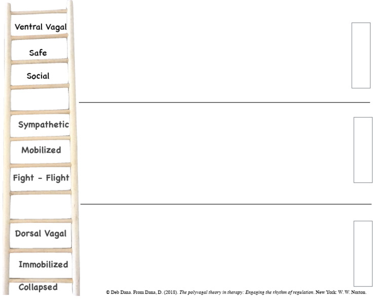 Polyvagal Theory States Chart | PDF