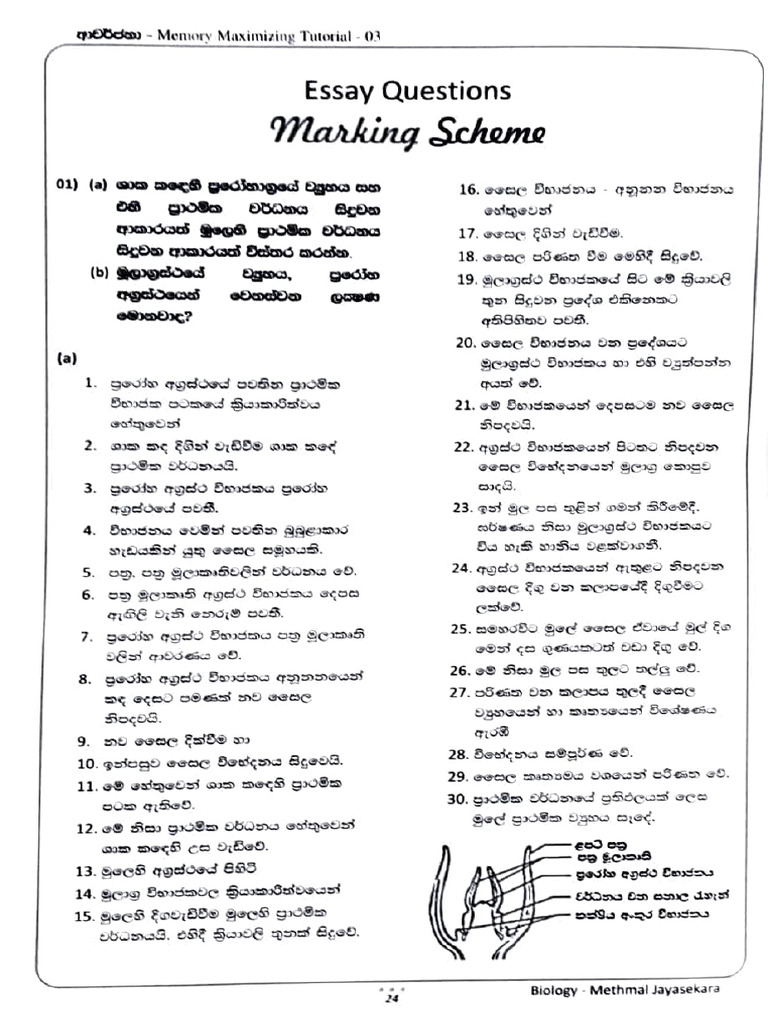Shakaya Essay Awarjana | PDF