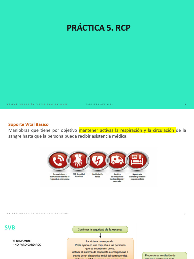 PRÃ CTICA 5 | PDF | Reanimación cardiopulmonar | Corazón