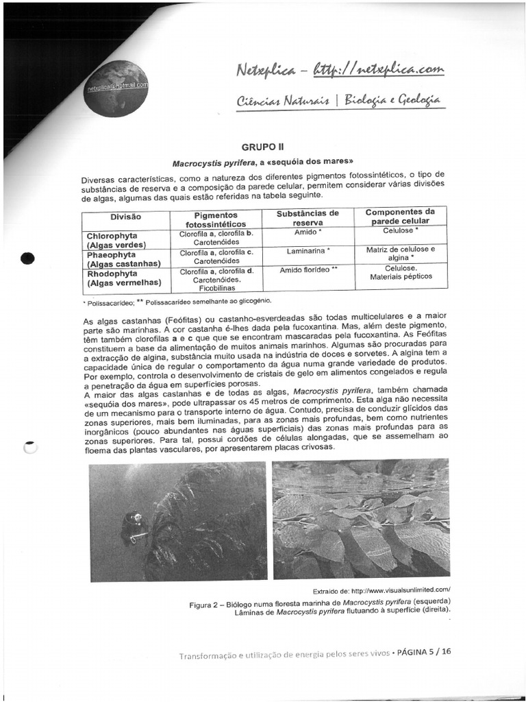 Fichas3 5 Prova BIO GEO 10ºano | PDF