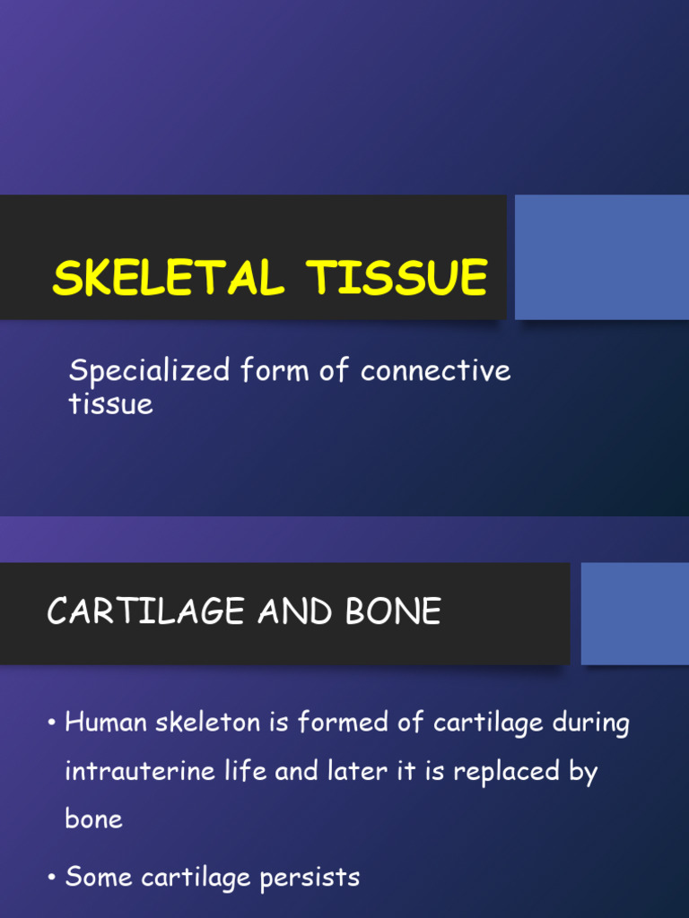cartilage and bone | PDF | Cartilage | Bone
