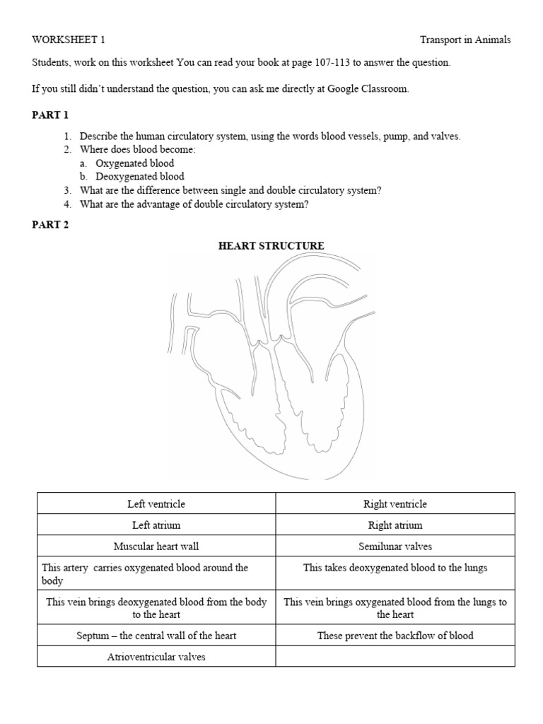 Worksheet 1 Introduction to Transport System in Animals | PDF