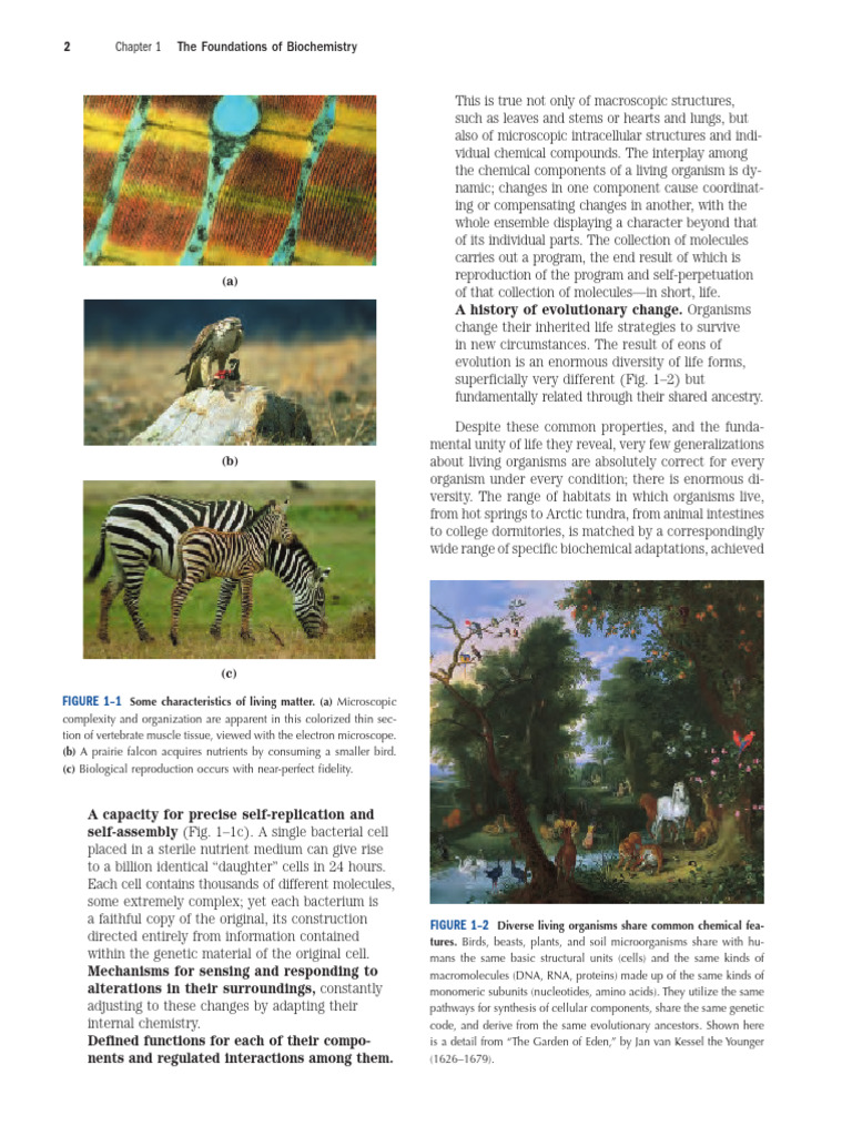 Biochemistry's Core Principles | PDF | Cell (Biology) | Genetics