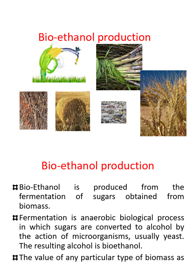 Bioethanol | PDF | Ethanol | Sugarcane