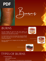 Burn Assessment Cheat Sheet4132024 | PDF