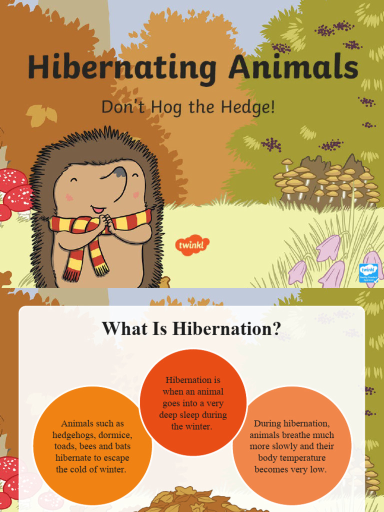 Understanding Animal Hibernation | PDF | Zoology