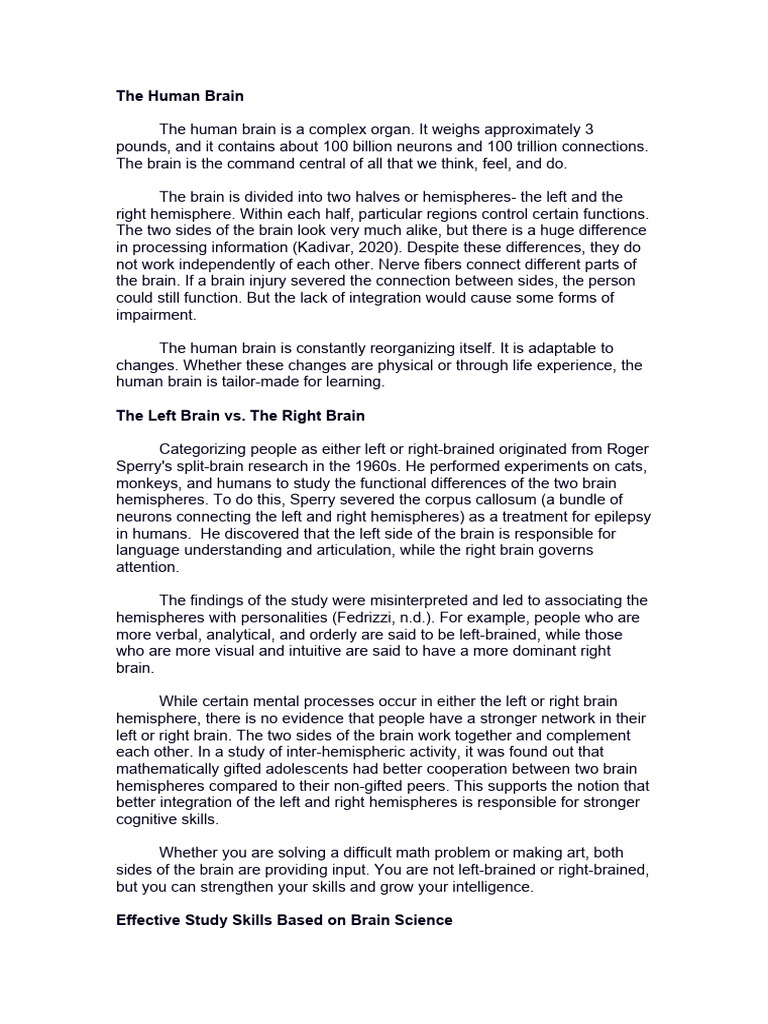 PD 8 | PDF | Lateralization Of Brain Function | Behavioural Sciences