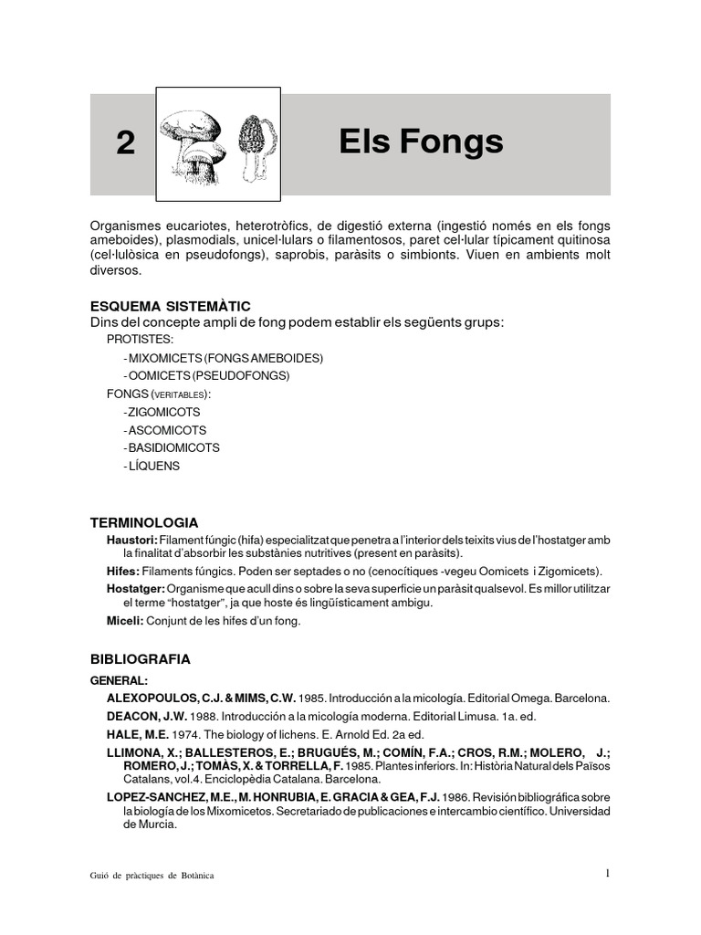 Fongs | PDF