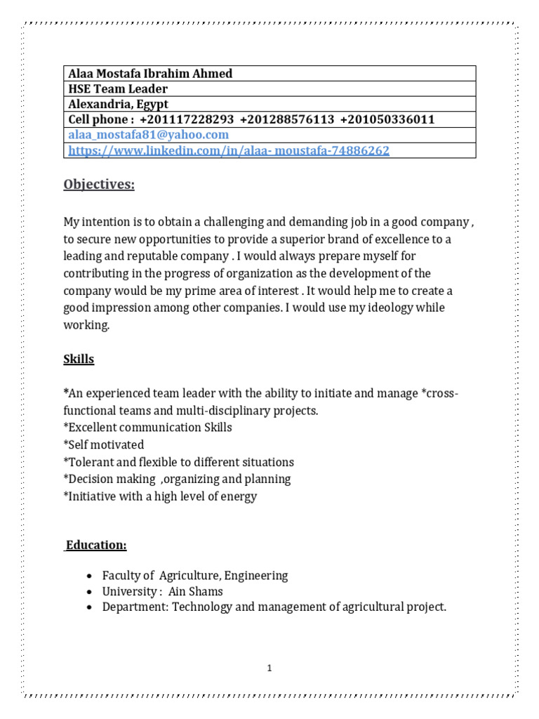 HSE Team Leader Resume: Alaa Mostafa | PDF | Occupational Safety And ...