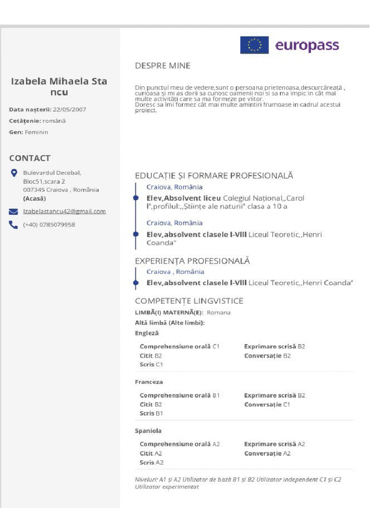 CVV Europass Copie | PDF