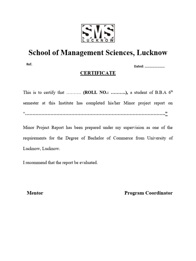 Certificate-Minor Project | PDF