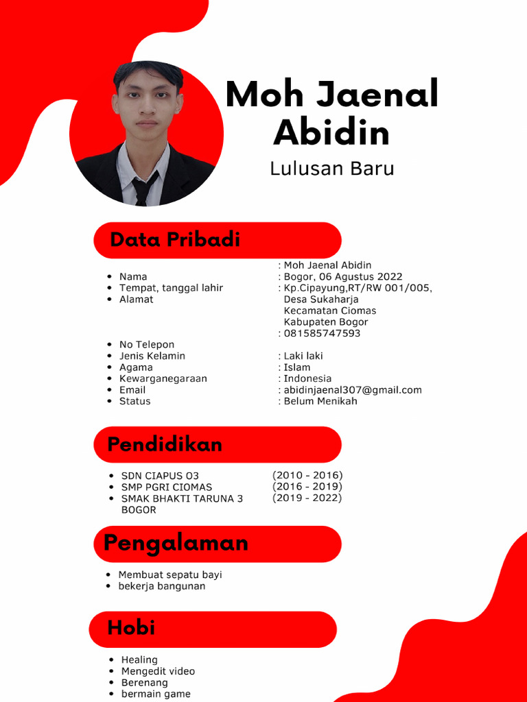 CV Moh Jaenal Abidin | PDF