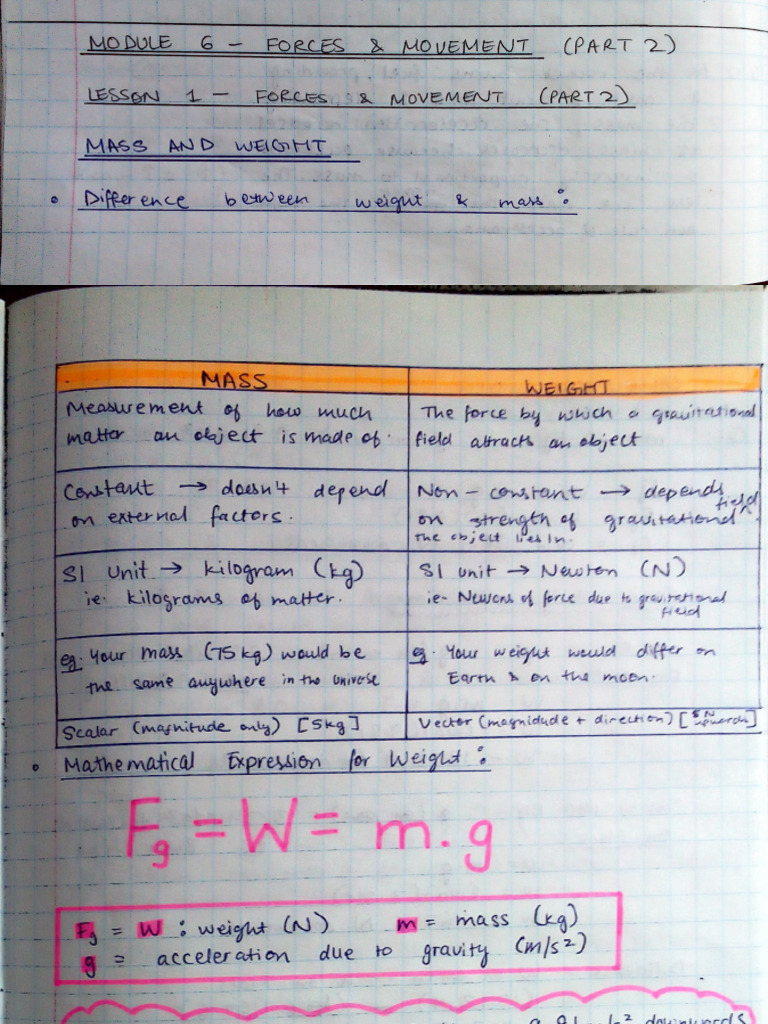 Forces and Movement Notes - Physics 0625 IGCSE | PDF