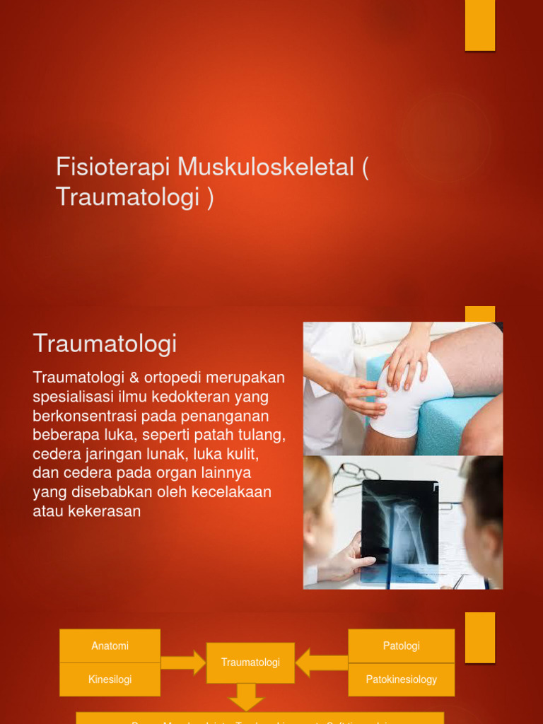 Pengantar Fisioterapi Muskuloskeletal Traumatologi. | PDF