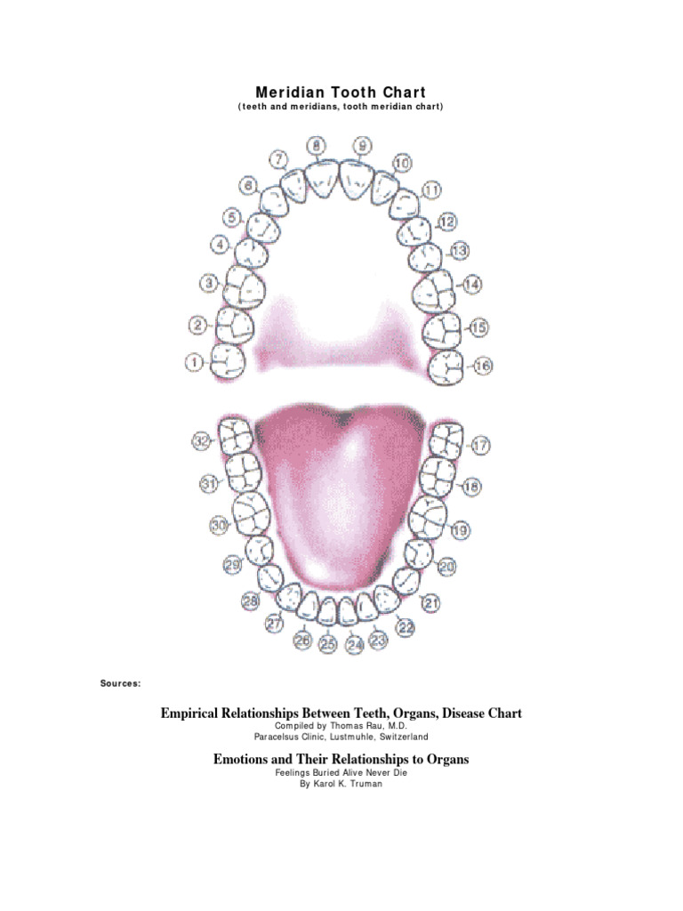 Meridian Tooth and Emotion Chart | PDF | Emotions | Human Anatomy