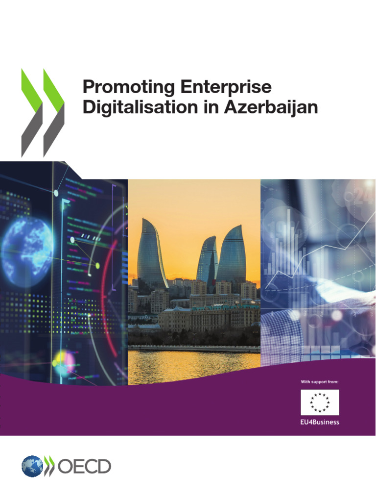Promoting Enterprise Digitalisation in Azerbaijan | PDF | Small And ...