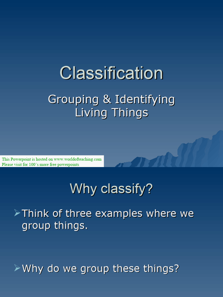 Classification of Animals | PDF | Egg | Invertebrate