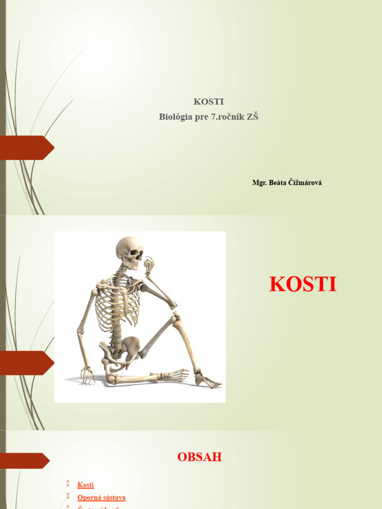 Oporná A Pohybová Sústava - Kosti | PDF