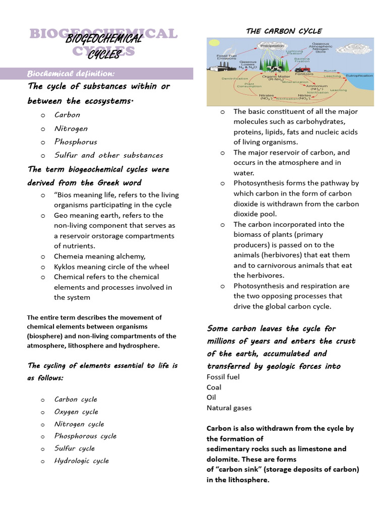 Envi Sci Reviewer | PDF | Carbon Cycle | Ecosystem