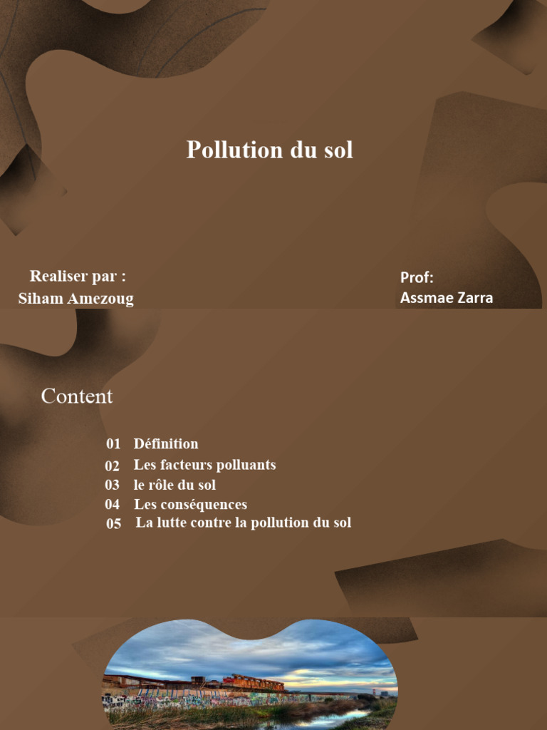 Causes et conséquences de la pollution du sol | PDF | Sol (pédologie ...