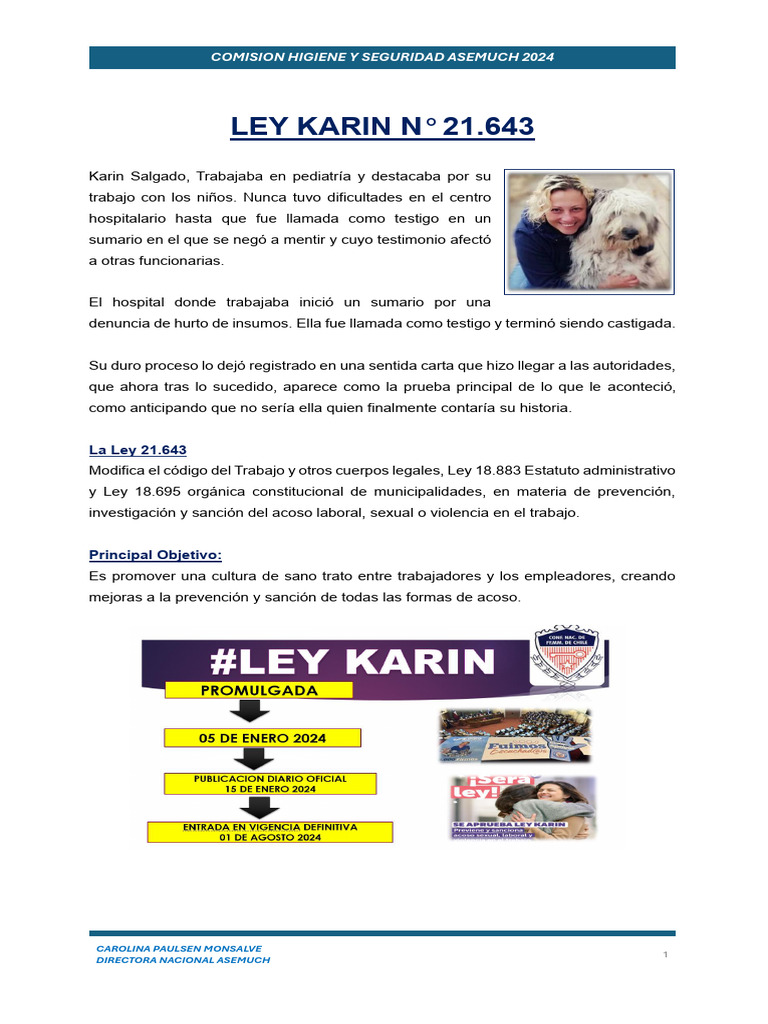 Resumen Ley Karin 21643 | PDF | Acoso sexual | Justicia