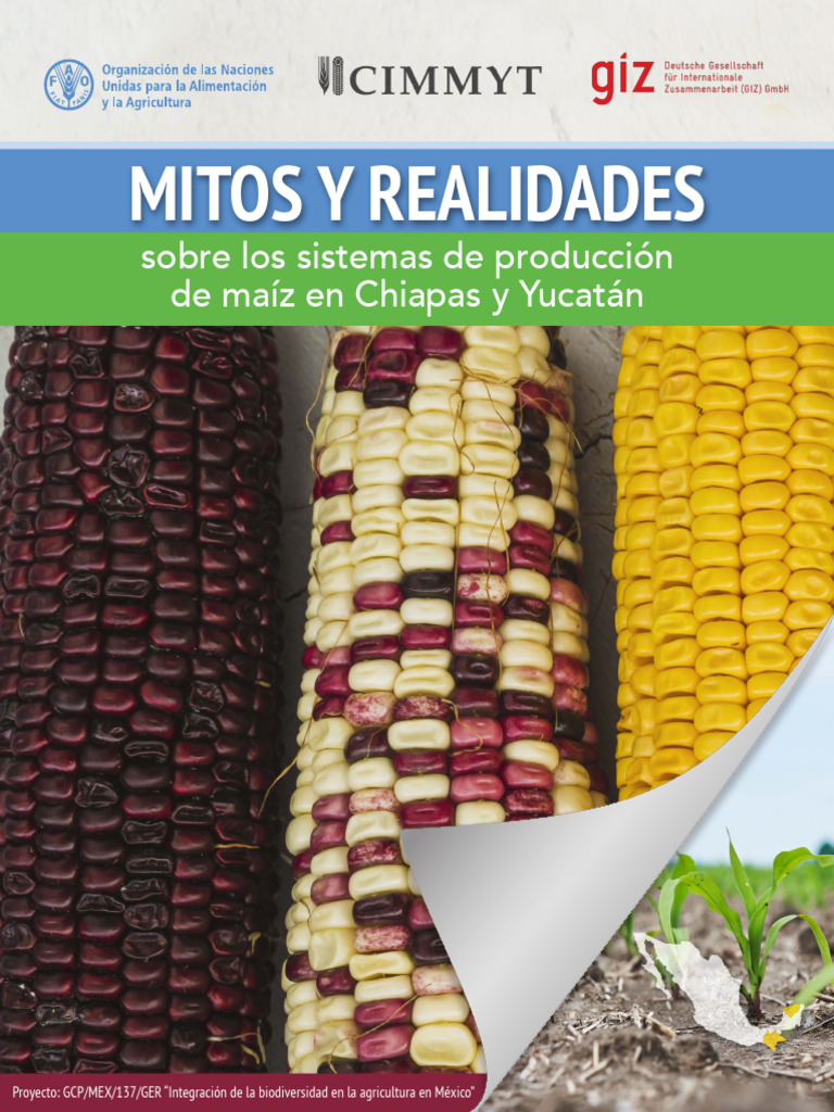 Mitos y Realidades Sobre Los Sistemas de Producción de Maíz en Chiapas y Yucatán | PDF ...