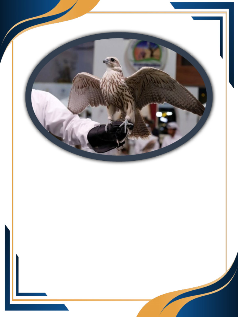 HUM 102 Assignment, Asian Culture - Jimanji | PDF