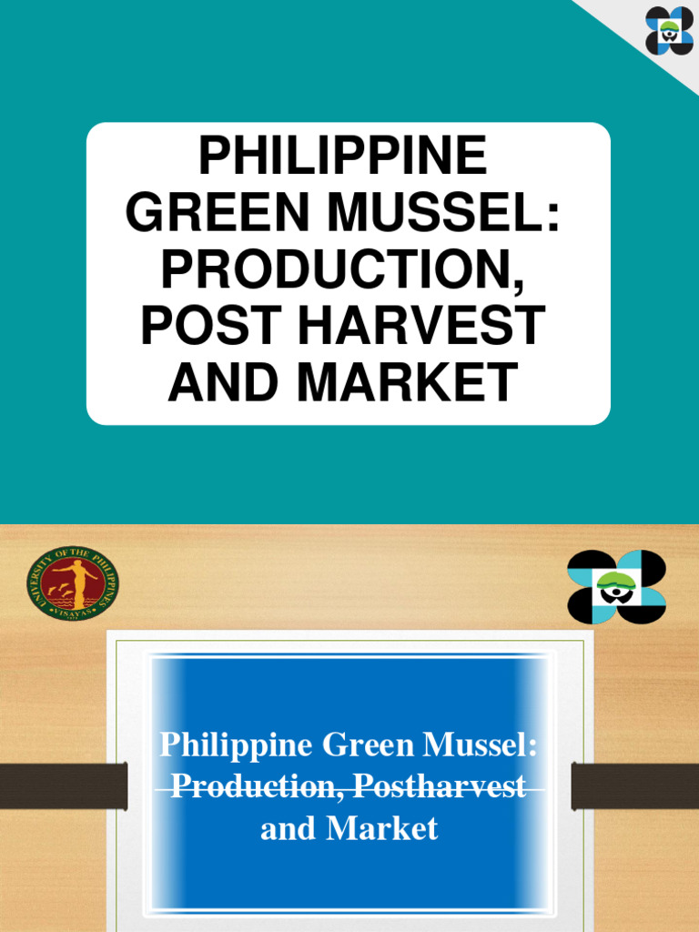Peralta - Philippine Green Mussel Production, Post-Harvest, and Market ...