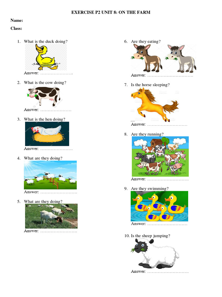 Exercise P2 Unit 8 | PDF Exercise P2 Unit 8 | PDF